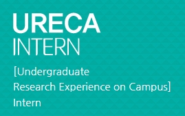 2024 여름학기 URECA 인턴 지원 > 공지사항 | 서강대학교 기계공학과